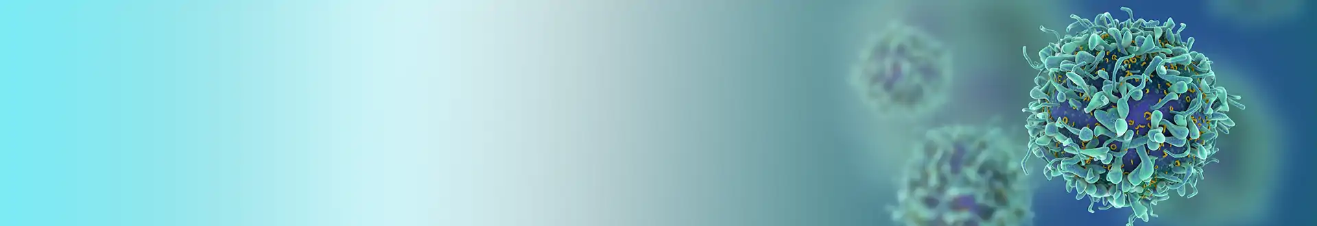 Ovarian Cancer Drug Monitoring Reagents - Creative Diagnostics Ovarian Cancer Drug Monitoring Reagents - Creative Diagnostics