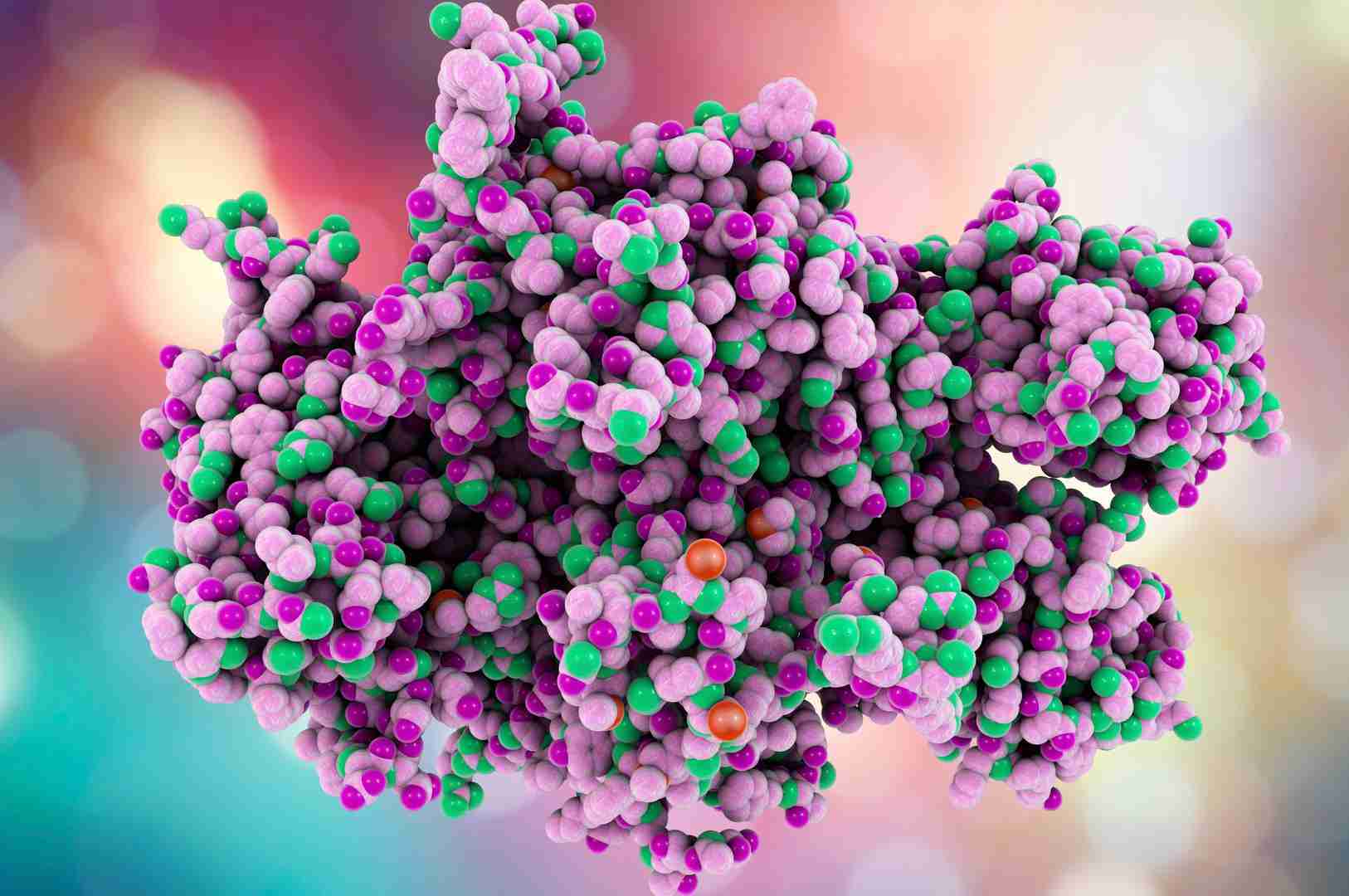 ADA Assay Development Service - Creative Diagnostics