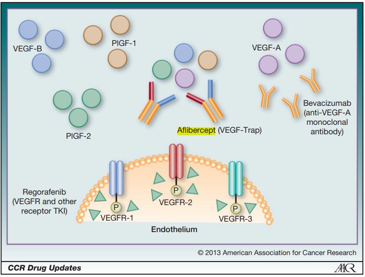 Aflibercept - Creative Diagnostics