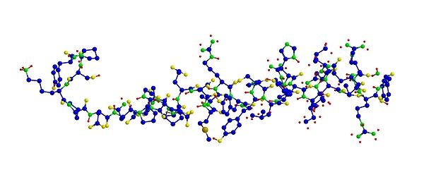 An Overview of Neuropeptide Y - Creative Diagnostics