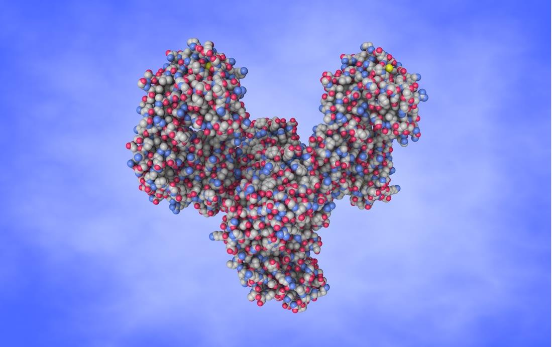 Canakinumab - Creative Diagnostics