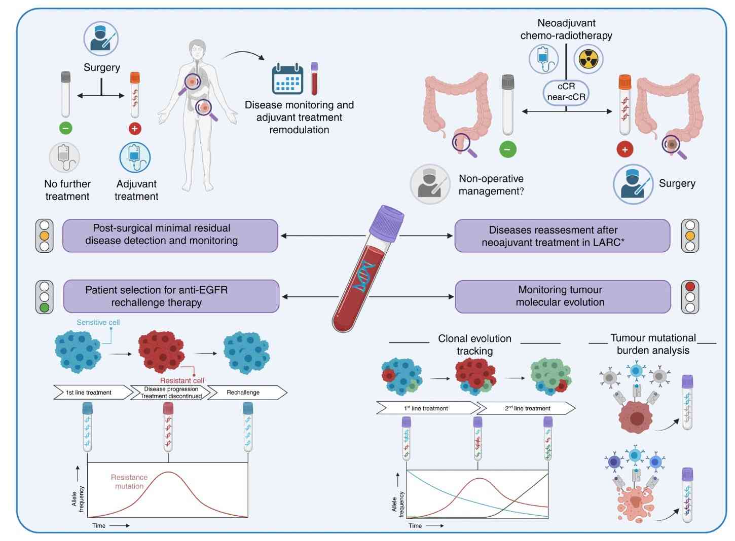 Comprehensive Colorectal Cancer Drug Monitoring - Creative Diagnostics