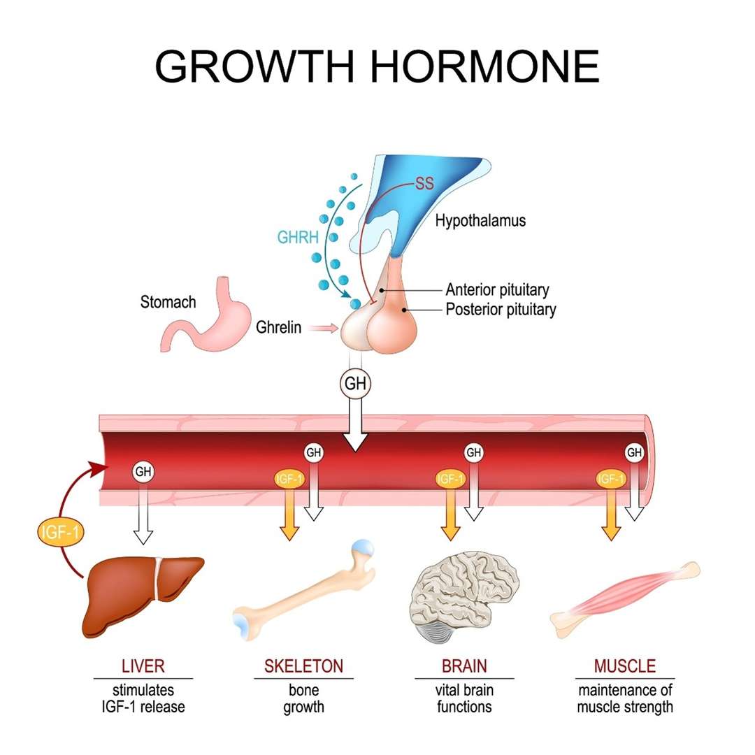Drug Monitoring in Growth Hormone-Releasing Factor Therapy - Creative ...