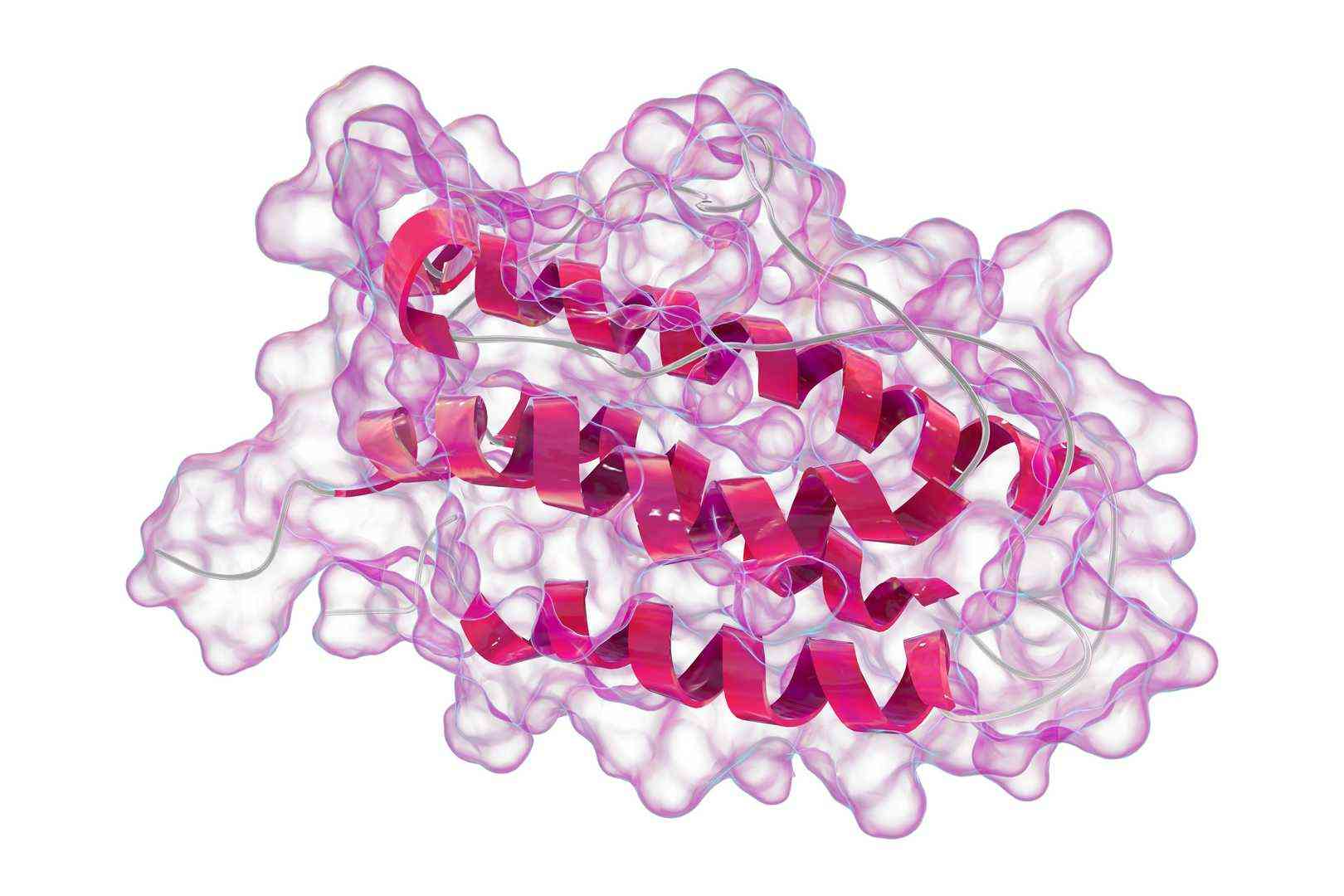 Drug Monitoring in Growth Hormone-Releasing Factor Therapy - Creative ...
