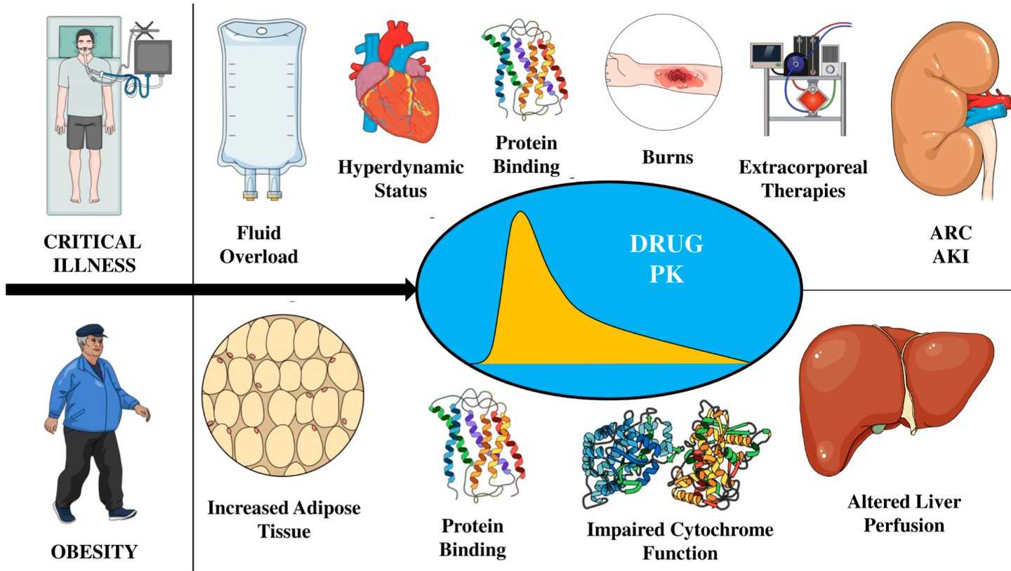 Drug Monitoring In Obesity Treatment Creative Diagnostics