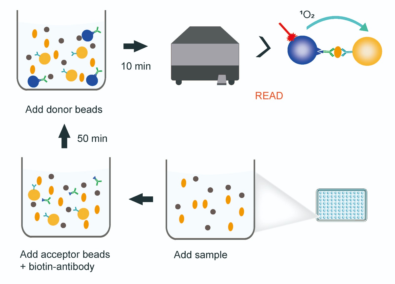 ExoHiLA™ Exosome Assay Kits - Creative Diagnostics