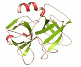 Human Anti-Elastase IgG Quantitative Detection ELISA Kit - Creative Diagnostics