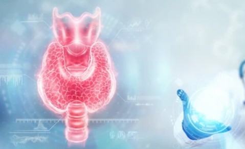 Human Ultrasensitive thyroid-stimulating hormone ELISA kit - Creative ...