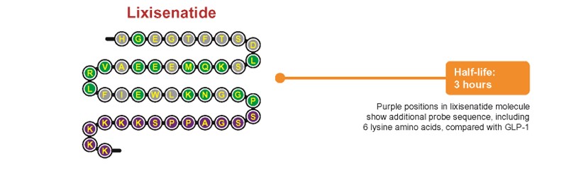Lixisenatide Overview - Creative Diagnostics