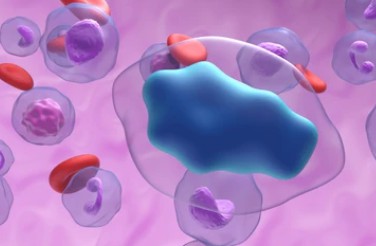 Monitoring Strategies for Optimizing Efficacy and Safety of Anti-inflammatory Drugs - Creative ...