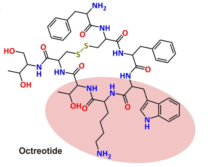 Octreotide - Creative Diagnostics