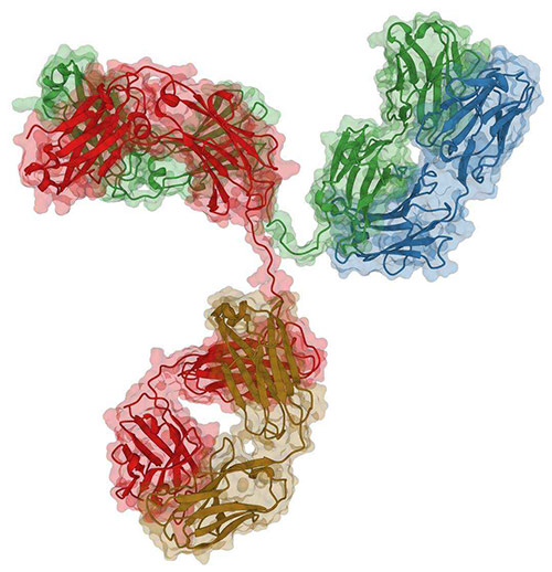 PK Assay Development Service - Creative Diagnostics