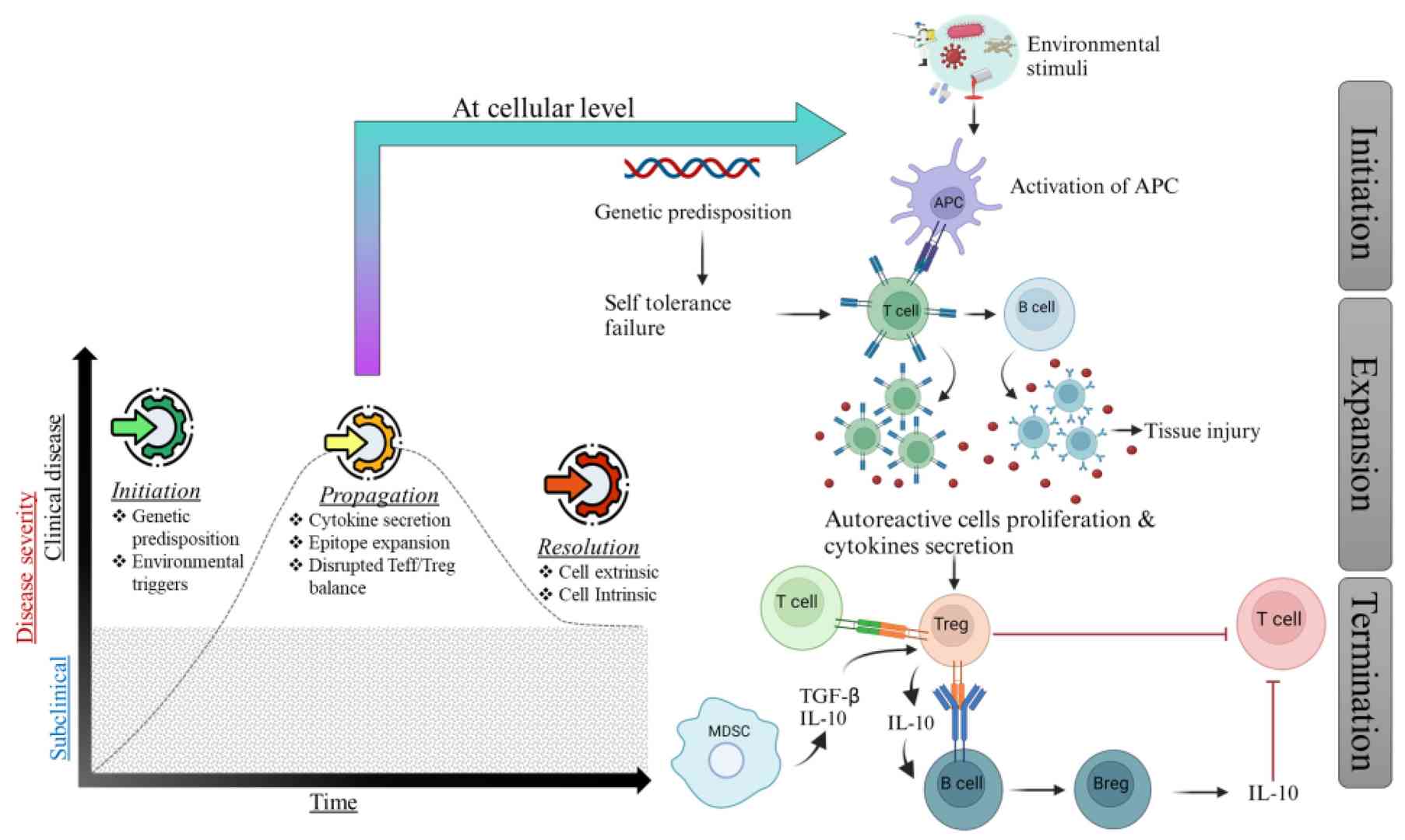 Precision Monitoring of Biologic Therapies in Autoimmune Disorders - Creative Diagnostics