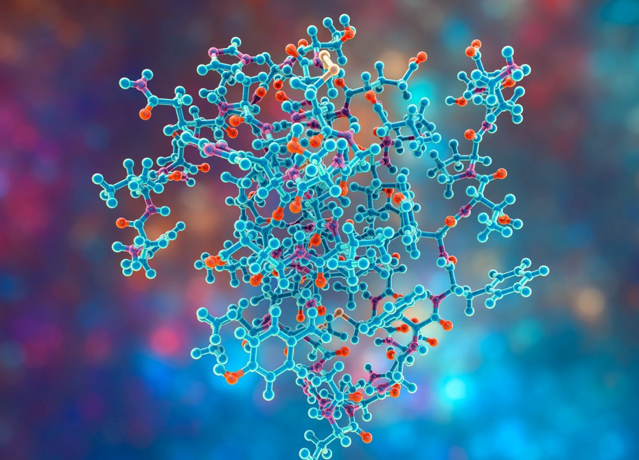 Safe Monitoring in Insulin Antibody Therapy - Creative Diagnostics