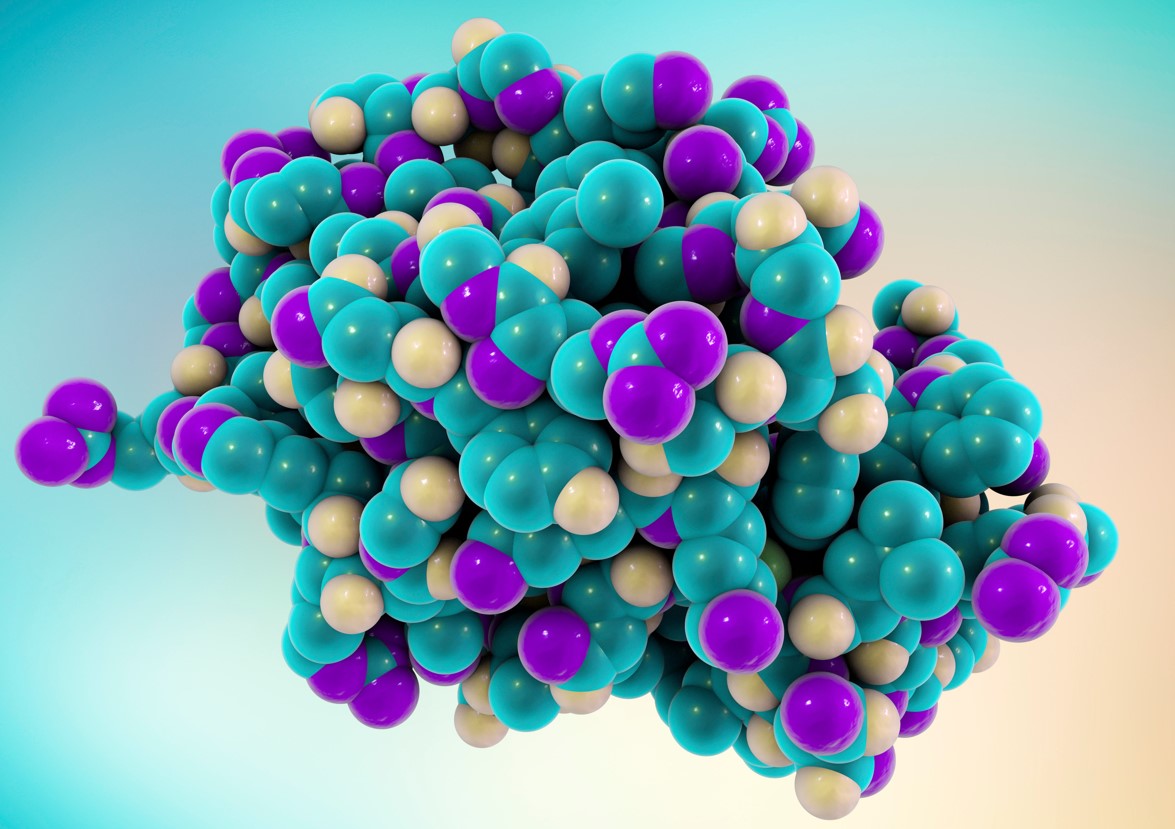 Safe Monitoring of Human Lysozyme Therapy - Creative Diagnostics