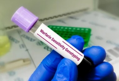 Thrombin Drug Monitoring - Creative Diagnostics