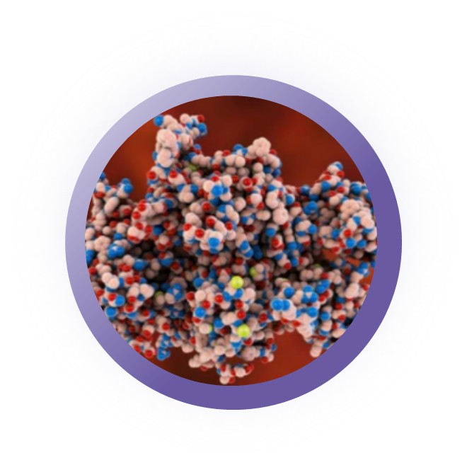 Thrombin Drug Monitoring - Creative Diagnostics