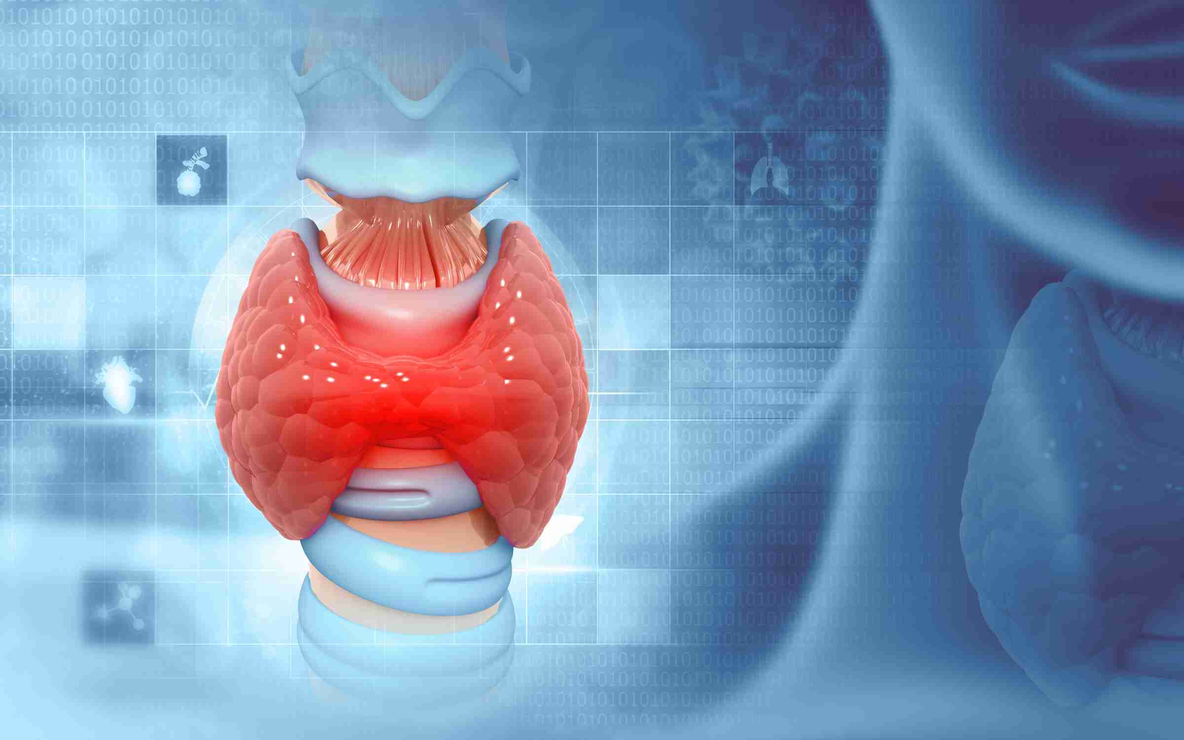 Thyroid-stimulating Hormone (TSH) - Creative Diagnostics